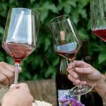 Guided Wine Tasting in Sebastopol with Local Sommelière - Value and Practicalities