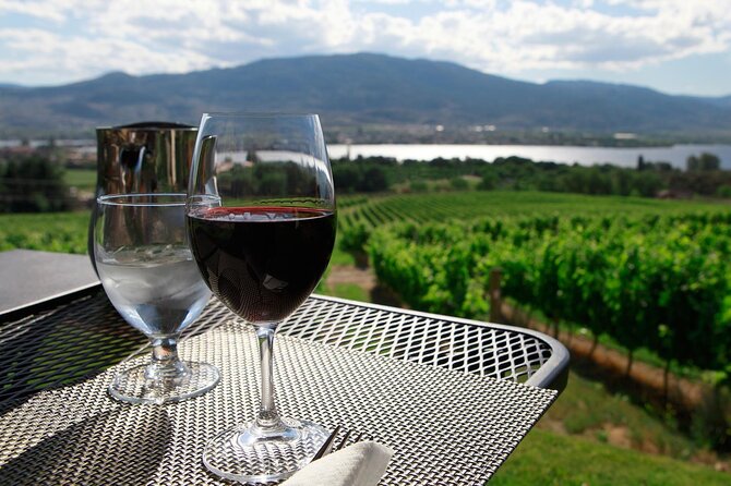 Guided Wine Tour through the Niagara Wine Trail - Analyzing the Experience: What You Can Expect