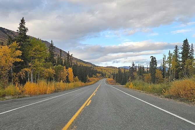 Guided Winter Wonderland Tour to Canada - What Travelers Say About the Tour