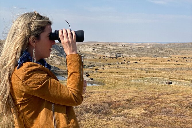 Guided Yellowstone National Park Trip - An In-Depth Look at the Guided Yellowstone Tour