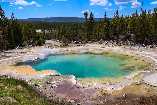 Guided Yellowstone National Park Trip - FAQ