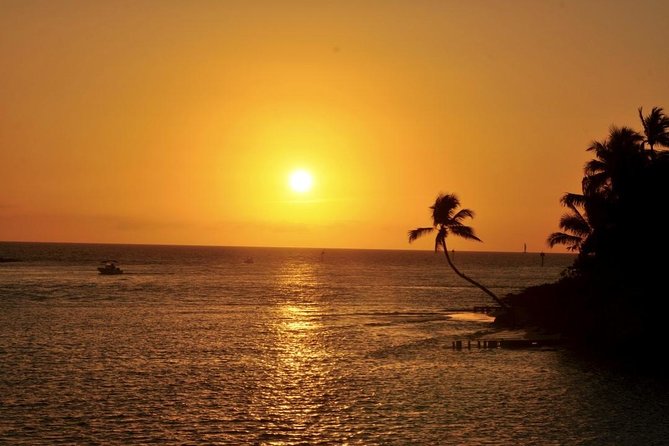 Gulf of Mexico Sunset Cruise from Naples - A Detailed Look at the Gulf of Mexico Sunset Cruise from Naples