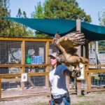 Gulf Shores, Orange Beach Area Multi-Attraction Pass - Who Should Consider This Tour?