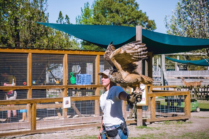 Gulf Shores, Orange Beach Area Multi-Attraction Pass - Who Should Consider This Tour?