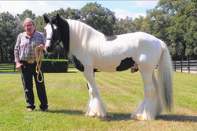 Gypsy Gold Horse Farm Tour - Exploring the Itinerary in Detail