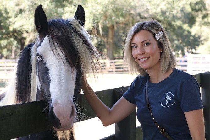 Gypsy Gold Horse Farm Tour - FAQs