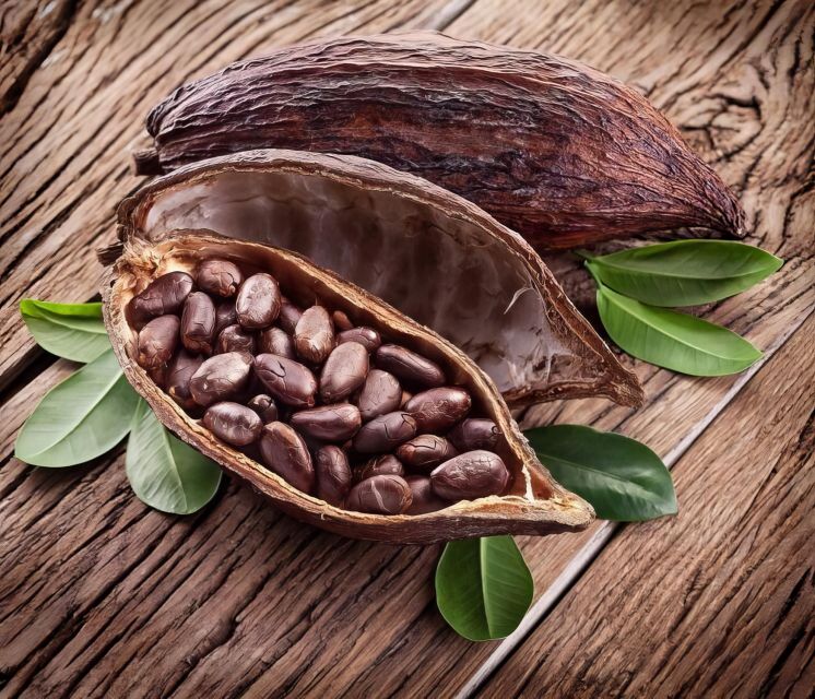 Haiku: Waterfall, Rainforest, and Handcrafted Chocolate Tour - Practical Tips for Travelers