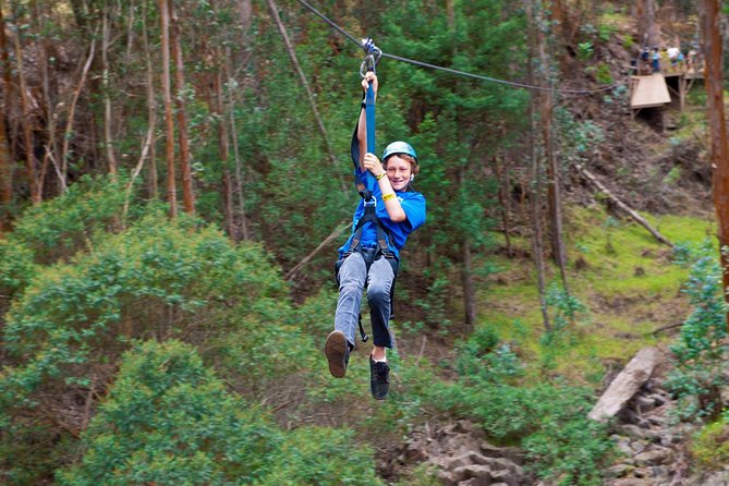 Haleakala 6 Line Zipline Adventure - An In-Depth Look at the Tour Experience