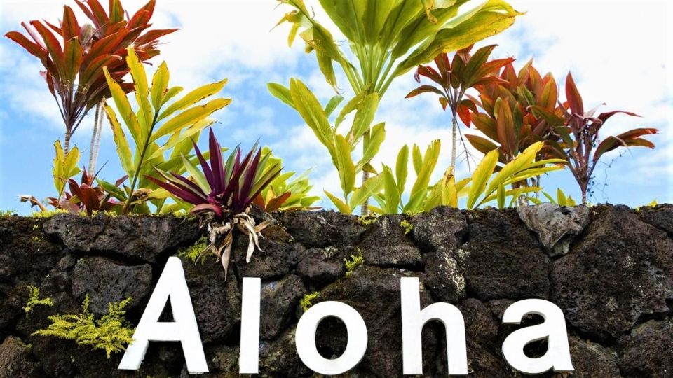 Haleakala Daytime Self-Guided Express Bike Tour w/ Bike Maui - Value and Practical Details