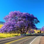 Haleakala Express Self-Guided Bike Tour with Bike Maui - The Sum Up: Is the Haleakala Express Bike Tour Worth It?