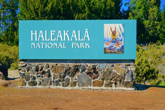 Haleakala Summit Best Self-Guided Bike Tour with Bike Maui - Who Is This Tour Best Suited For?