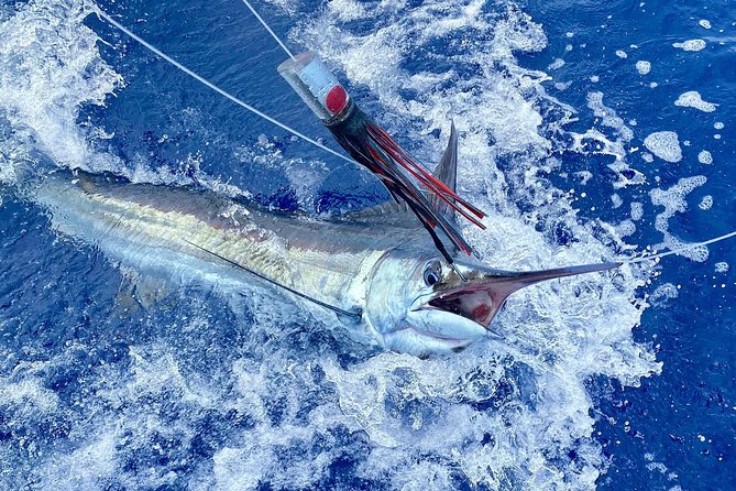 Half Day Afternoon Angler Charter - Setting Out from Kailua-Kona