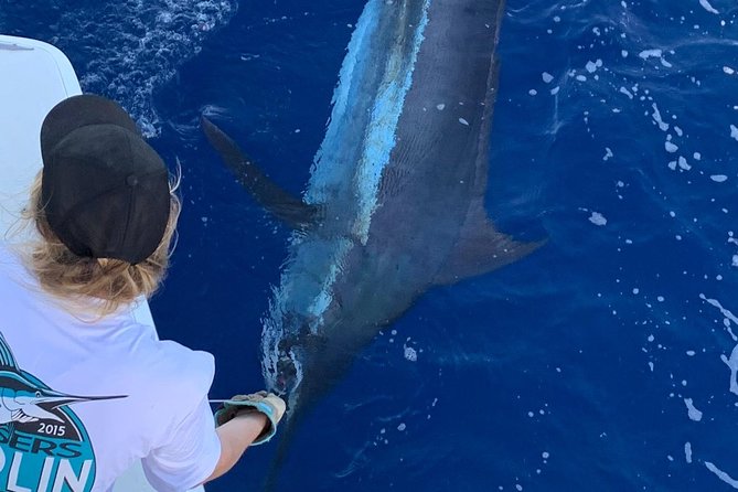 Half Day Afternoon Angler Charter - What the Experience Looks Like