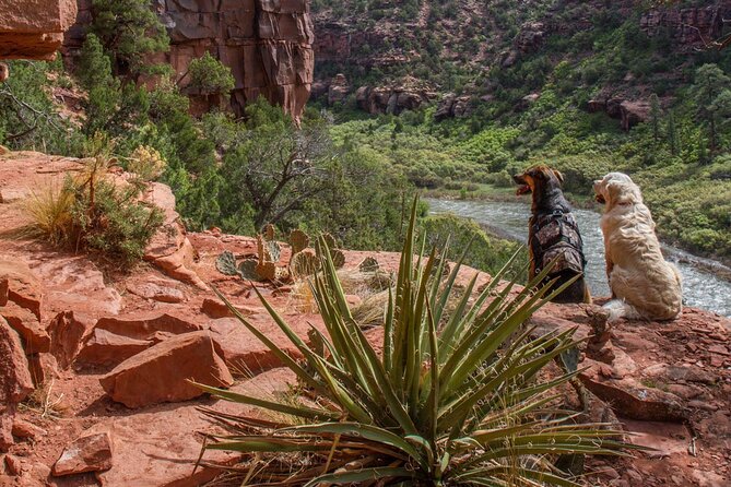Half-Day Arkansas River - The Numbers Rafting Tour - FAQ