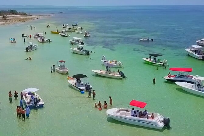Half Day Charter Sandbar Snorkeling and Eco Adventure - Key Points
