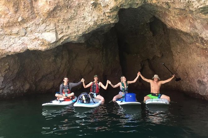 Half-Day Colorado River Paddleboard Trip - Key Points