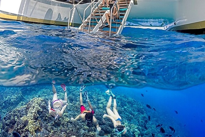 Half-Day Deluxe Molokini Snorkel Excursion in Maui - The Sum Up