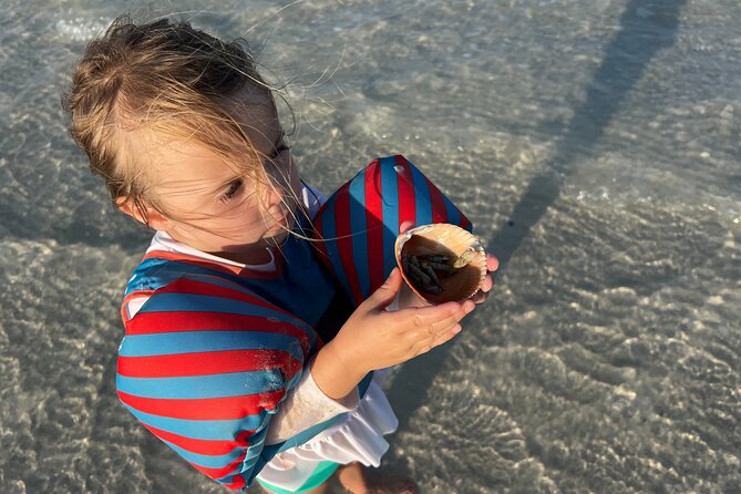 Half Day Eco and Dolphin Boat Tour in Siesta Key - Key Points