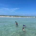 Half Day Eco and Dolphin Boat Tour in Siesta Key - What Makes This Tour Stand Out?
