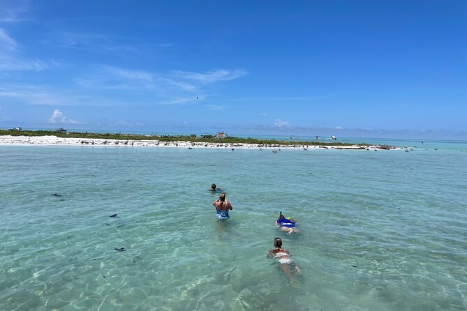 Half Day Eco and Dolphin Boat Tour in Siesta Key - What Makes This Tour Stand Out?