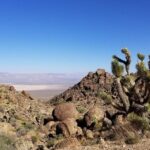 Half-Day Electric Bike Tour of Red Rock Canyon - Who Will Love This Tour?