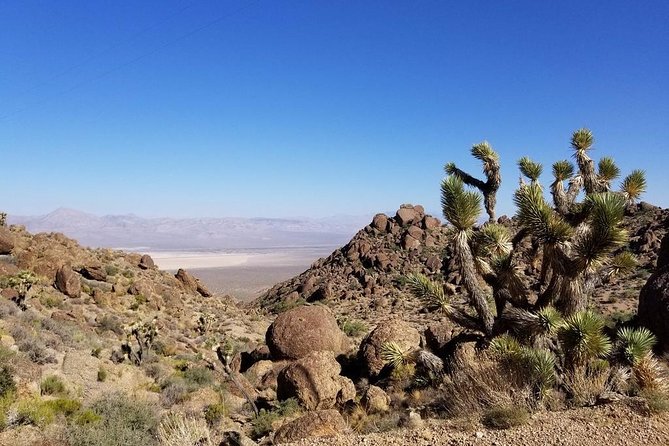 Half-Day Electric Bike Tour of Red Rock Canyon - Who Will Love This Tour?
