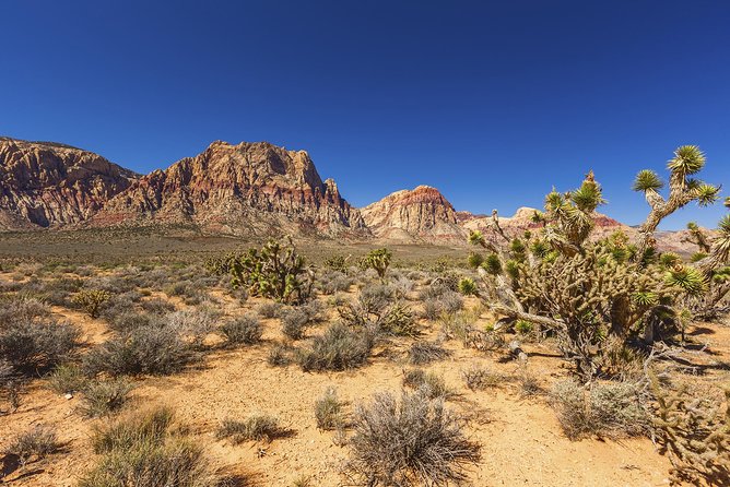 Half-Day Electric Bike Tour of Red Rock Canyon - Final Thoughts