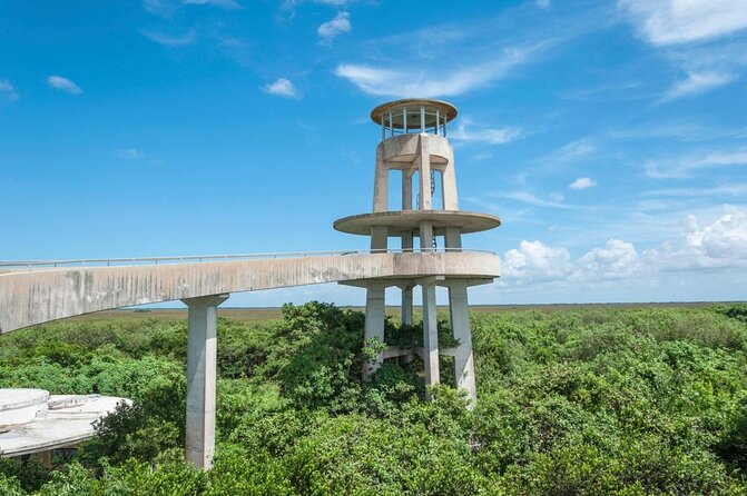 Half-day Everglades National Park Tour and 1-Hour Air Boat Ride - Exploring the Everglades: An Authentic Half-Day Adventure