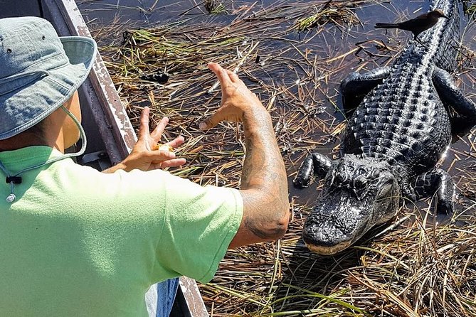 Half-day Everglades National Park Tour and 1-Hour Air Boat Ride - A Deep Dive into the Everglades Tour