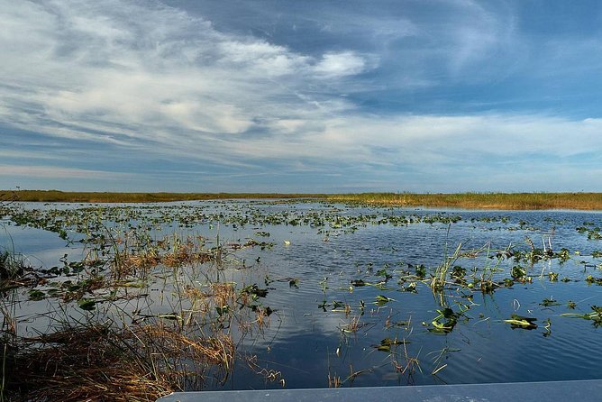 Half-day Everglades National Park Tour and 1-Hour Air Boat Ride - Final Thoughts: Is It Worth It?