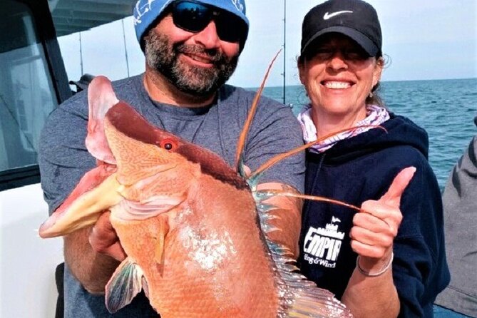 Half Day Fishing Experience from John's Pass in Madeira Beach, FL - 5 Hours - Key Points
