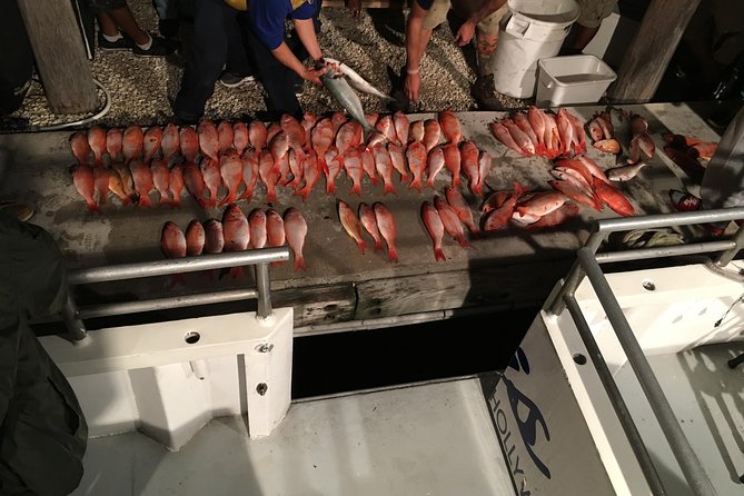 Half-Day Fishing Trip in Fort Lauderdale - The Value of the Experience