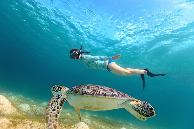 Half-Day Florida Keys Catamaran Snorkel Adventure - What to Expect from the Adventure