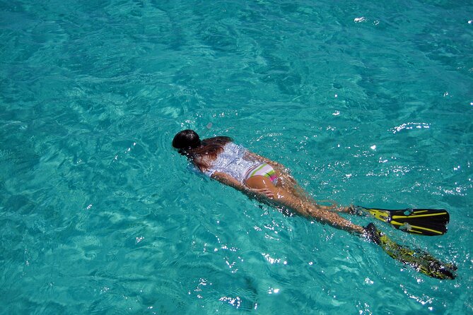 Half-Day Florida Keys Catamaran Snorkel Adventure - The Value and Who It’s Best For