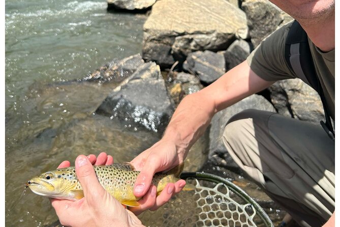 Half Day Fly Fishing Lesson on Clear Creek near Denver - What to Expect During the Tour
