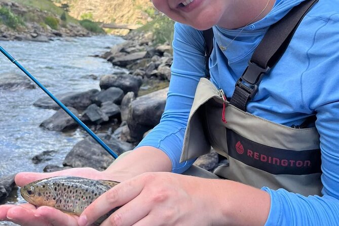 Half Day Fly Fishing Lesson on Clear Creek near Denver - Who Should Consider This Experience
