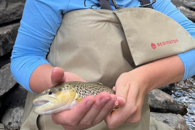 Half Day Fly Fishing Lesson on Clear Creek near Denver - FAQs About the Fly Fishing Lesson