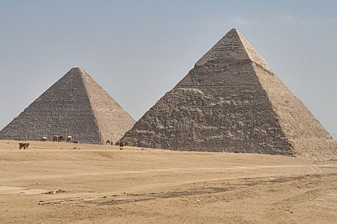 Half day Giza pyramids and Sphinx tour with an Egyptologist - Transportation and Duration