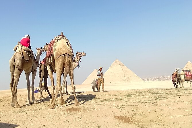 Half day Giza pyramids and Sphinx tour with an Egyptologist - Authentic Experiences and Insights from Past Travelers