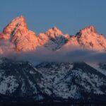 Half-Day Grand Teton Wildlife Private Safari Tour - Who Should Consider This Tour?