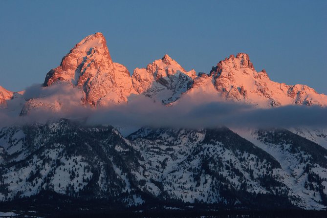 Half-Day Grand Teton Wildlife Private Safari Tour - Who Should Consider This Tour?