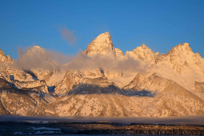 Half-Day Grand Teton Wildlife Private Safari Tour - FAQ