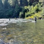 Half Day Guide Trip - Practical Details That Matter