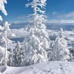 Half-Day Guided Backcountry Ski Touring Experience near Incline Village - Why This Tour Works Well