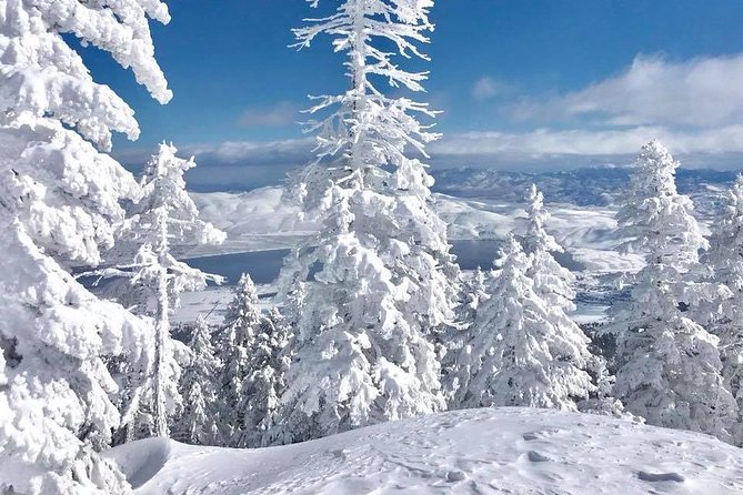 Half-Day Guided Backcountry Ski Touring Experience near Incline Village - Why This Tour Works Well