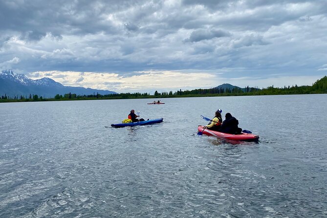Half-Day Guided Kayak Tour on Knik River - Practical Details and Considerations