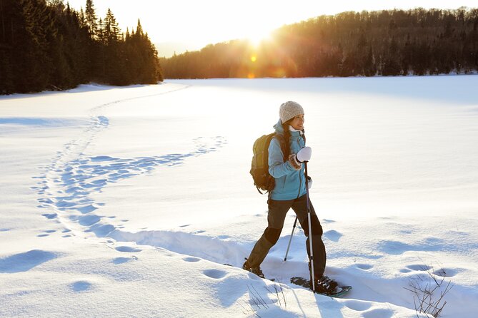 Half Day Guided Snowshoe Tour Near Breckenridge - Key Points