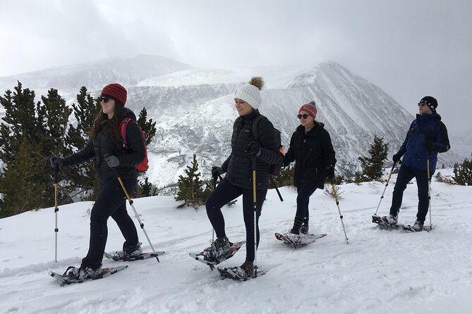 Half Day Guided Snowshoe Tour Near Breckenridge - What the Tour Entails