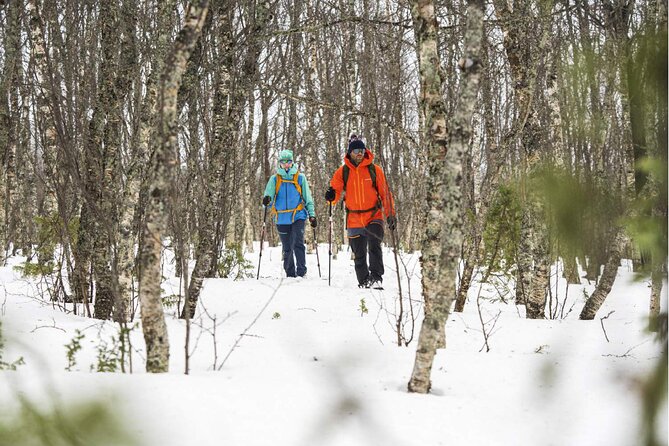 Half Day Guided Snowshoe Tour Near Breckenridge - The Sum Up
