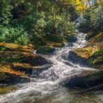 Half Day Hike - Water Falls - The Experience’s Highlights and Challenges